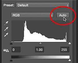 Applying Auto Tone, Contrast And Color As Adjustment Layers